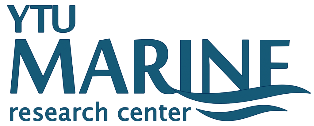 Structural Analysis – YTU-MARINE RESEARCH AND APPLICATION CENTER